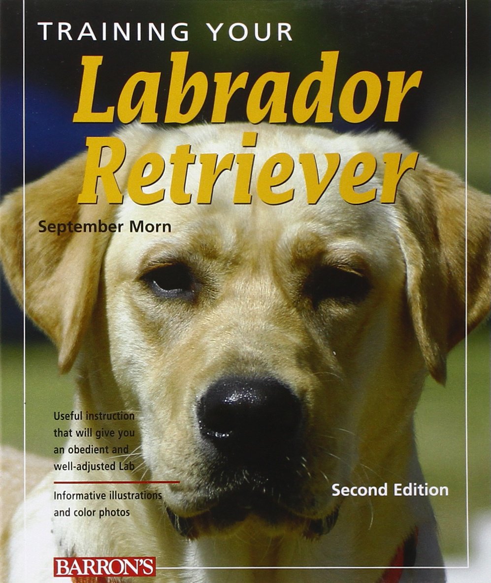 Training Your Labrador Retriever: Veterinarian-Approved Training Book ...