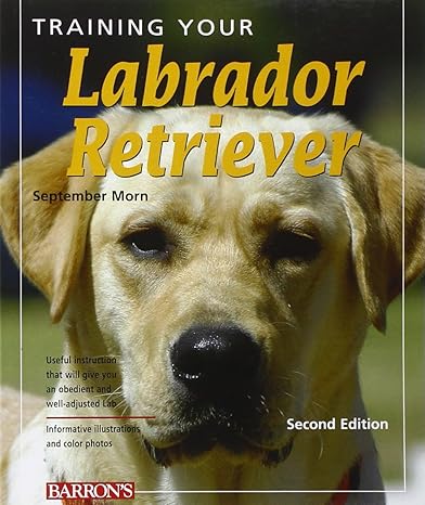 Training Your Labrador Retriever: Veterinarian-Approved Training Book ...