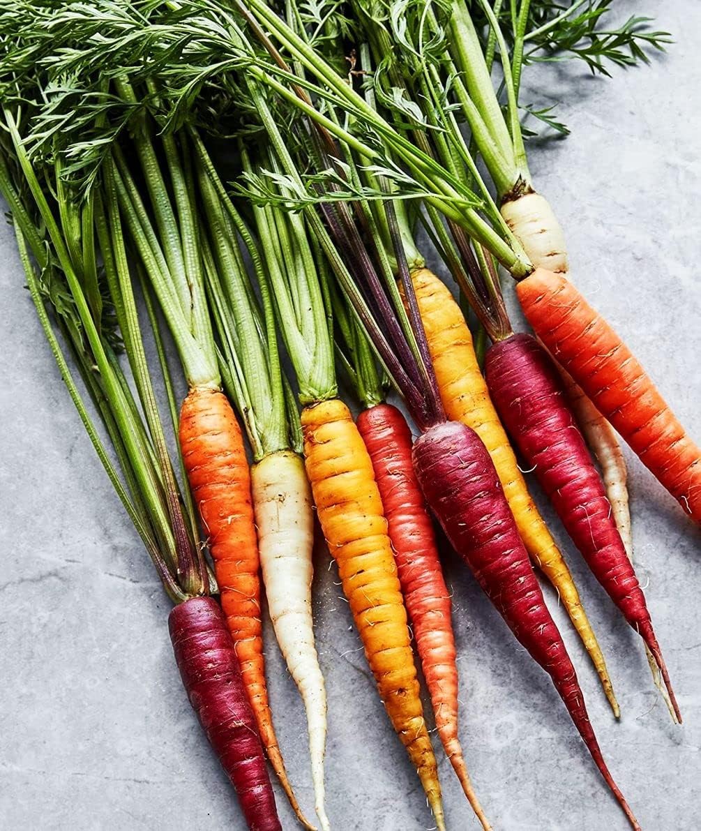 Amazon.com : Rainbow Carrot Vegetable Planting Home Garden | Five ...