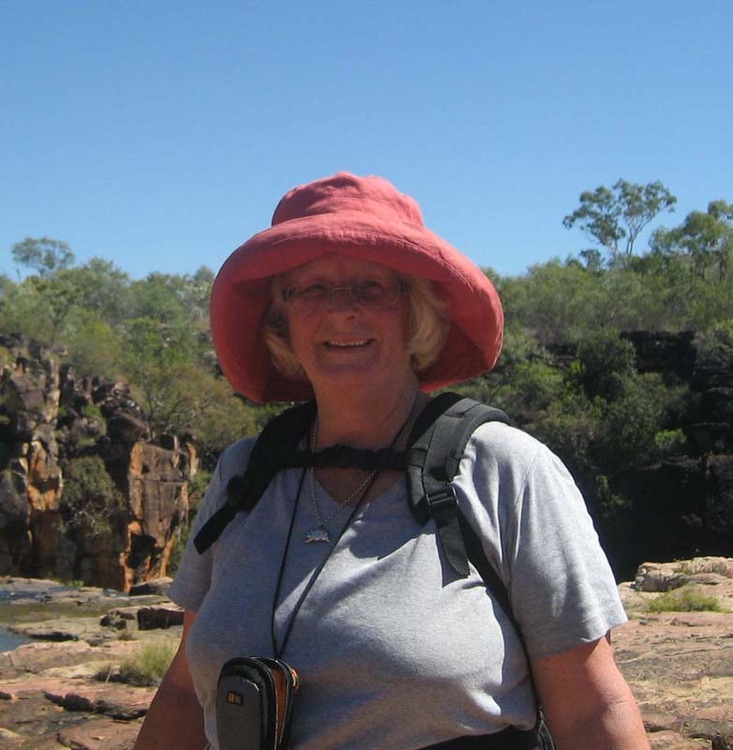 Amazon.com: Pamela Lamb: books, biography, latest update