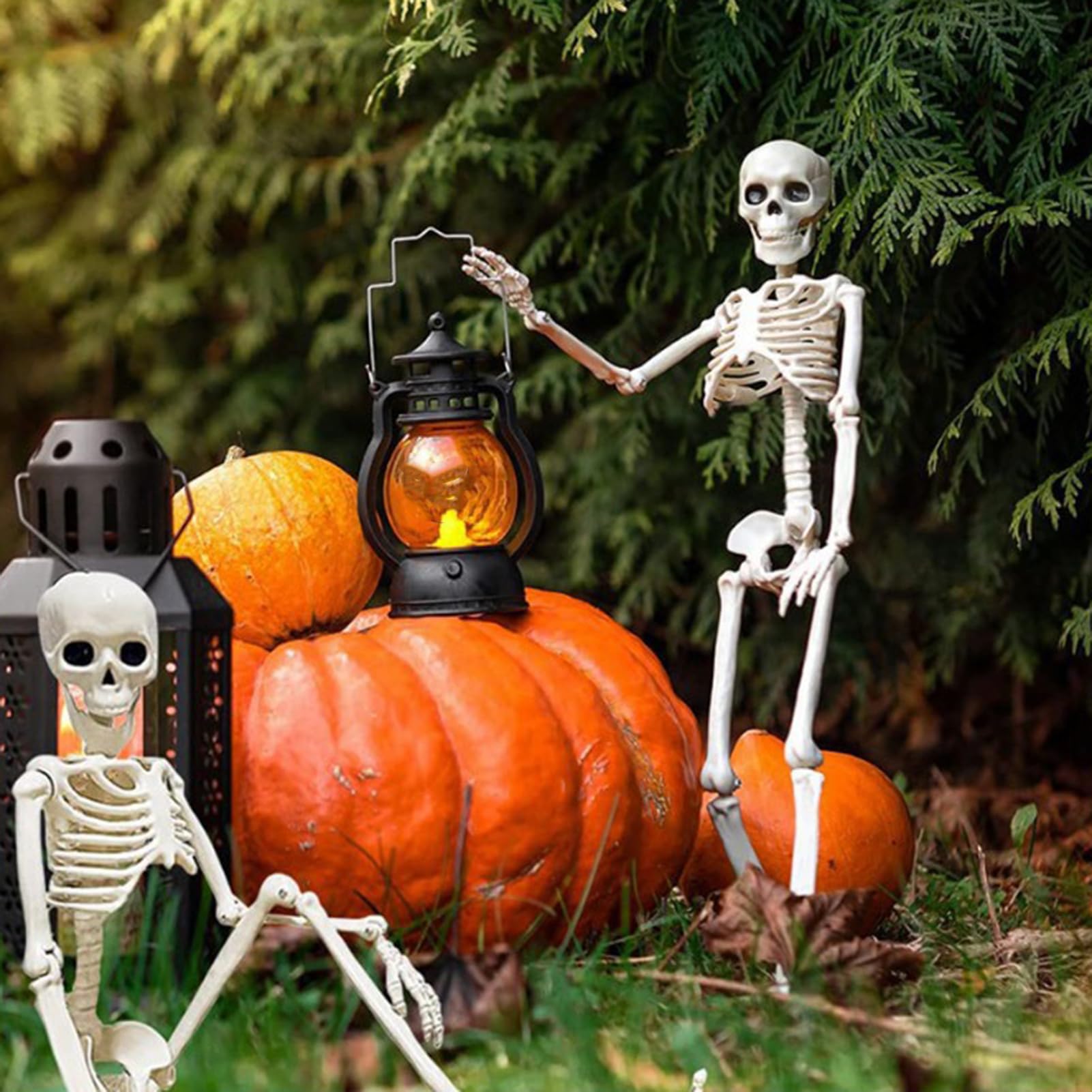 Witchy Decor Halloween Skeleton Decorations- Life Size Human Skeleton ...