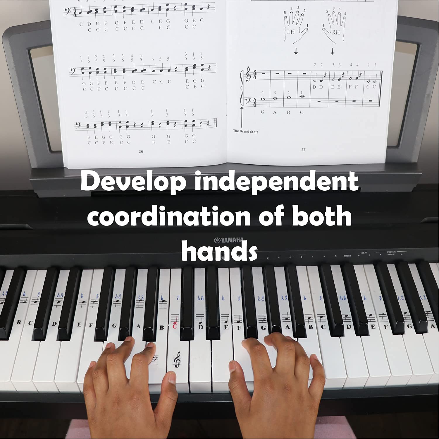 Snapklik.com : Piano And Keyboard Stickers And Complete Piano Music ...