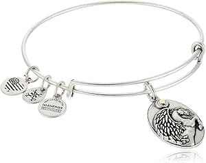 Amazon.com: Alex and Ani "Path of Symbols" Pegasus Expandable Wire Silver Bangle Charm Bracelet ...