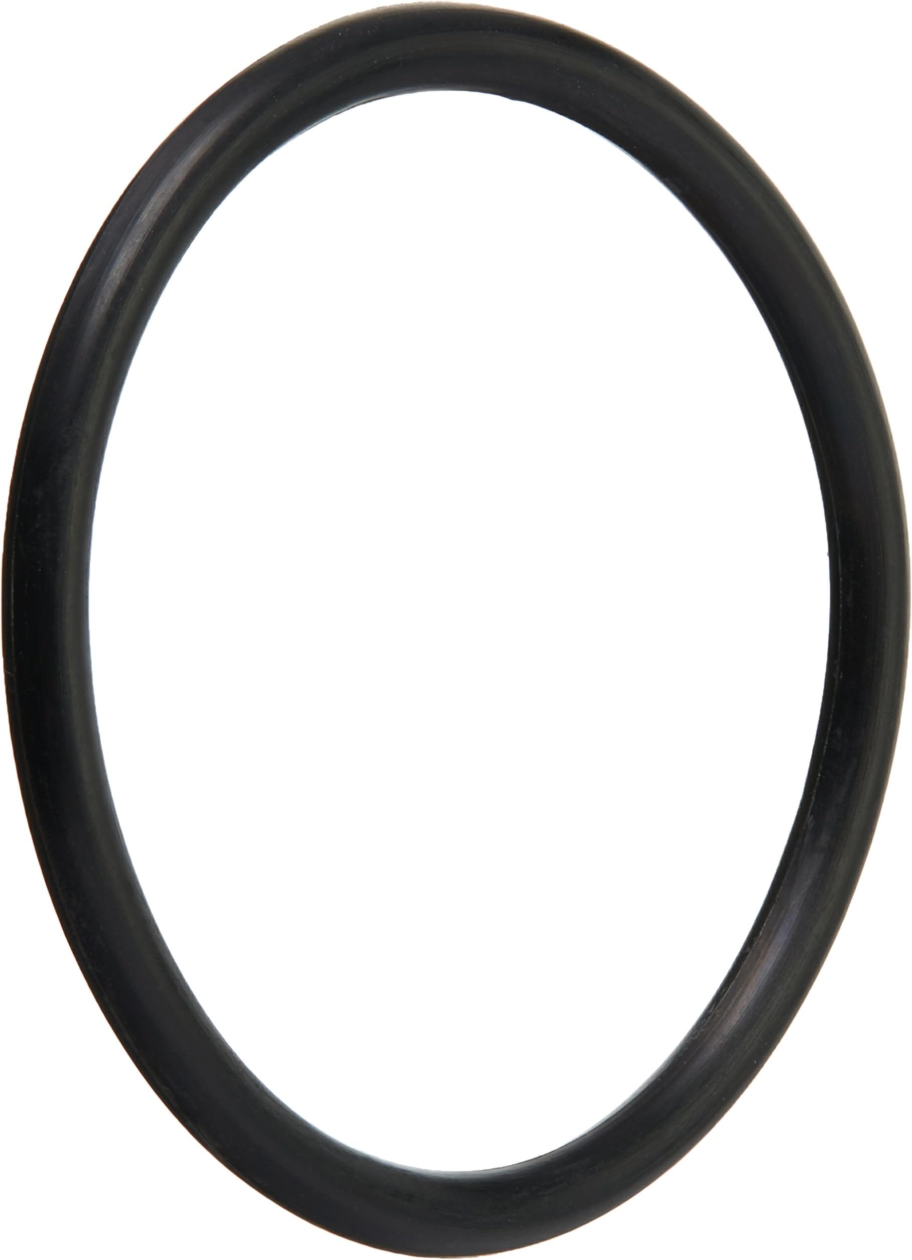 Amazon.com: Pentair 39010200 Tank Clamp O-Ring Replacement Pool and Spa ...