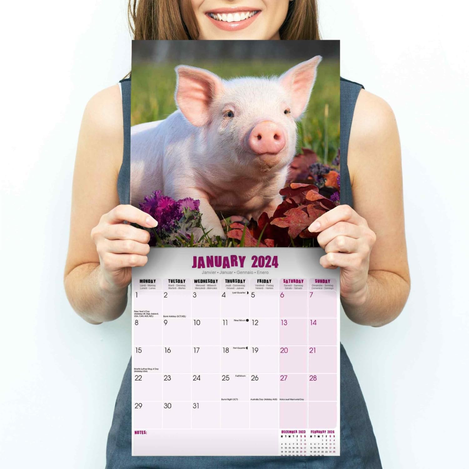 Snapklik.com : 2023 2024 Pigs Calendar - Cute Farm Animal Monthly Wall ...