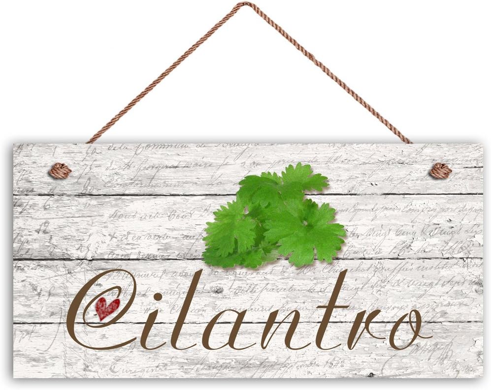 Amazon.com: Cilantro Sign, Garden Sign, Rustic Decor, Herb on ...