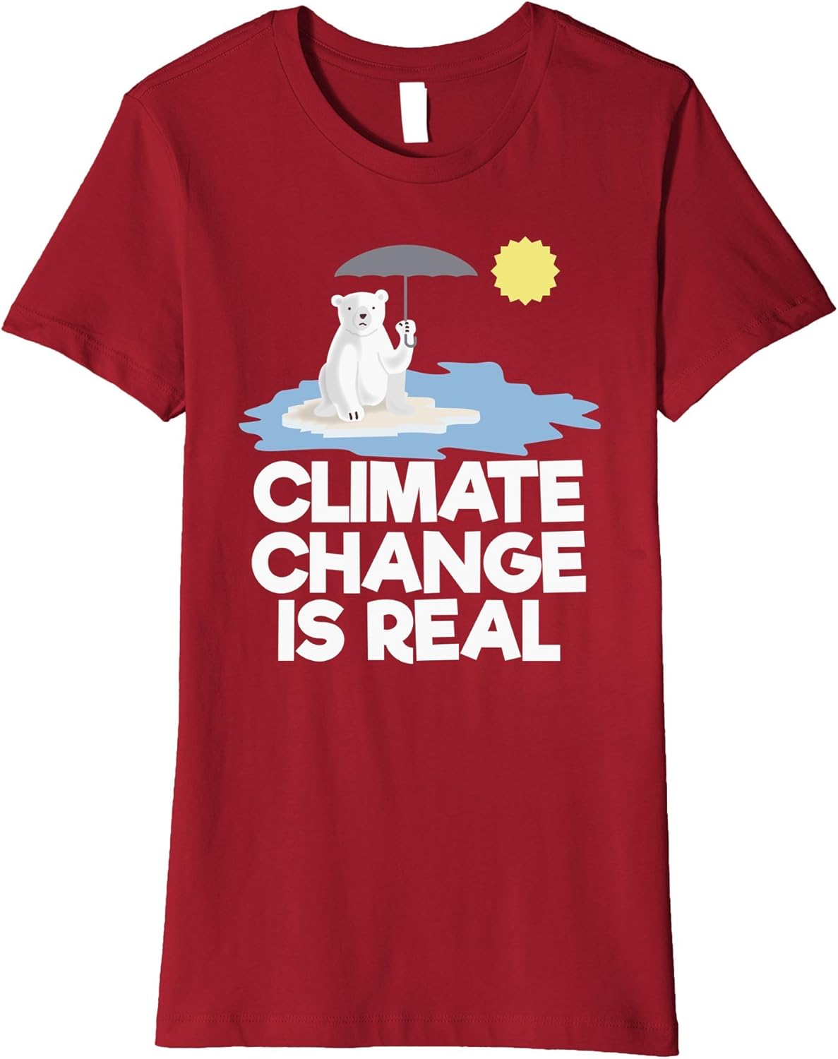Amazon.com: Climate Change Is Real Environmental Global Warming T Shirt ...