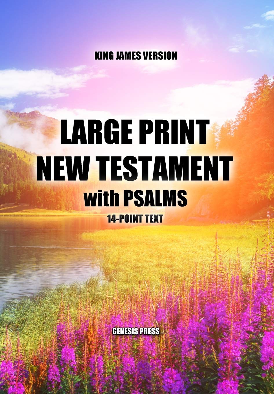 Large Print New Testament with Psalms: Press, Genesis: 9781724880932 ...