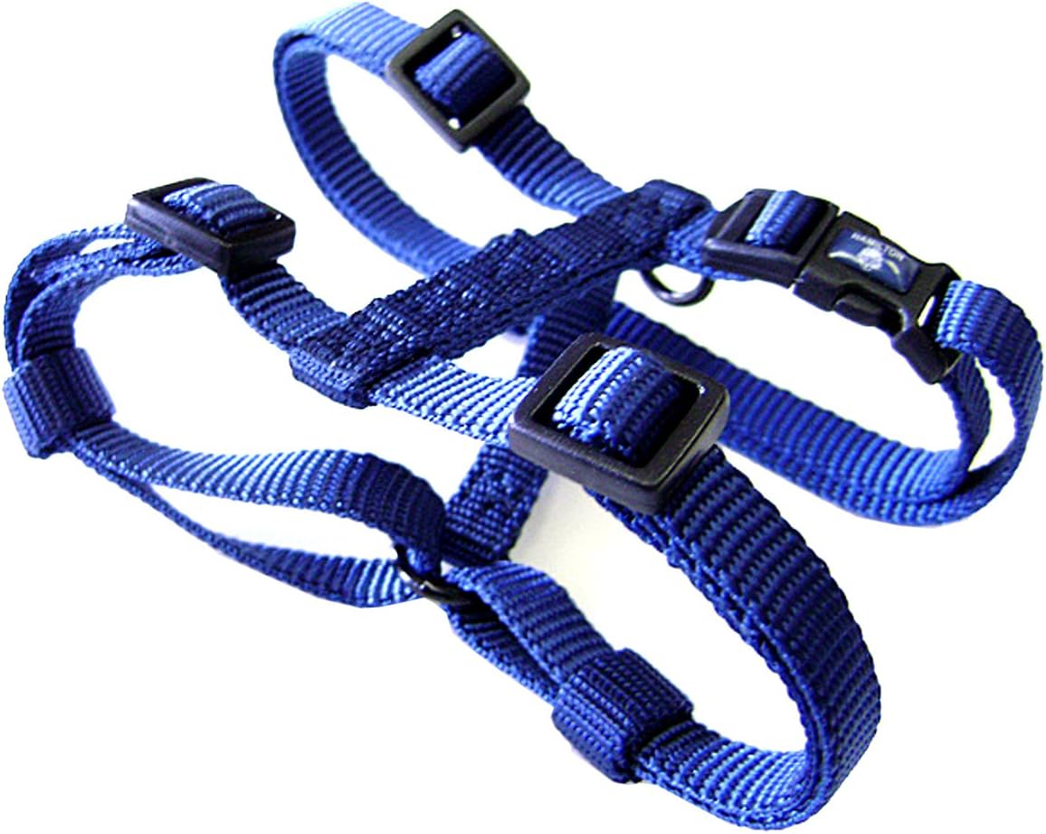 Amazon.com : Hamilton Adjustable Comfort Nylon Dog Harness, Navy Blue ...