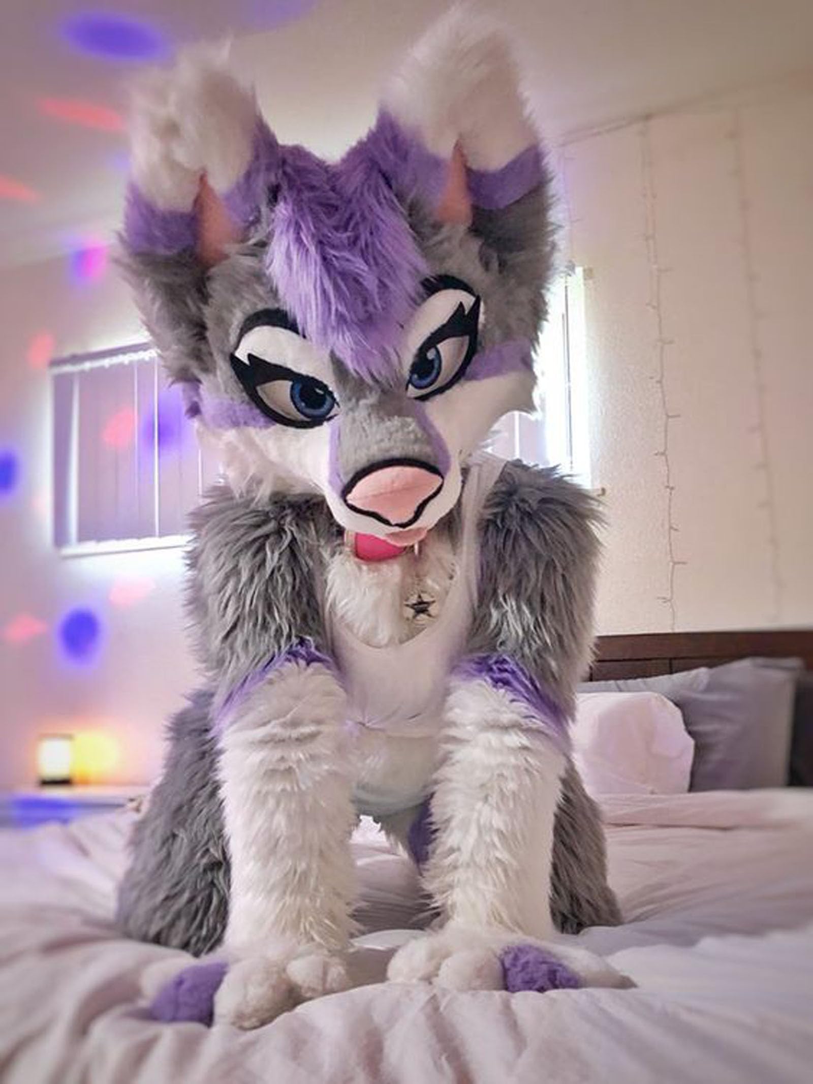 Amazon.com: Japan Grey Cat Dog Digigrade Legs Catfooted Prop Fursuit ...