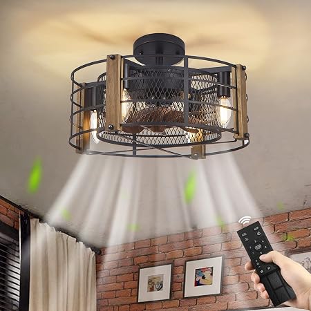 Amazon.com: LEDIARY 20" Caged Ceiling Fans With Lights and Remote ...