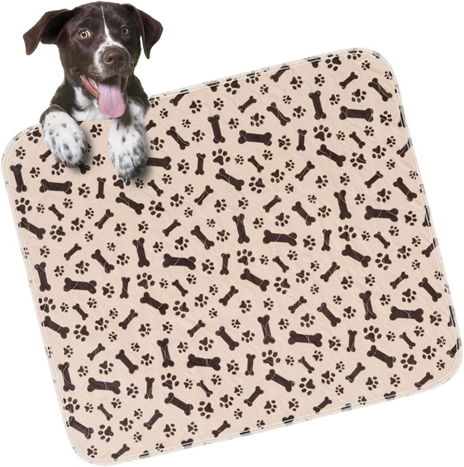 Amazon.com: Dog Pee Pads with Pheromones, Reusable Dog Training Pad ...