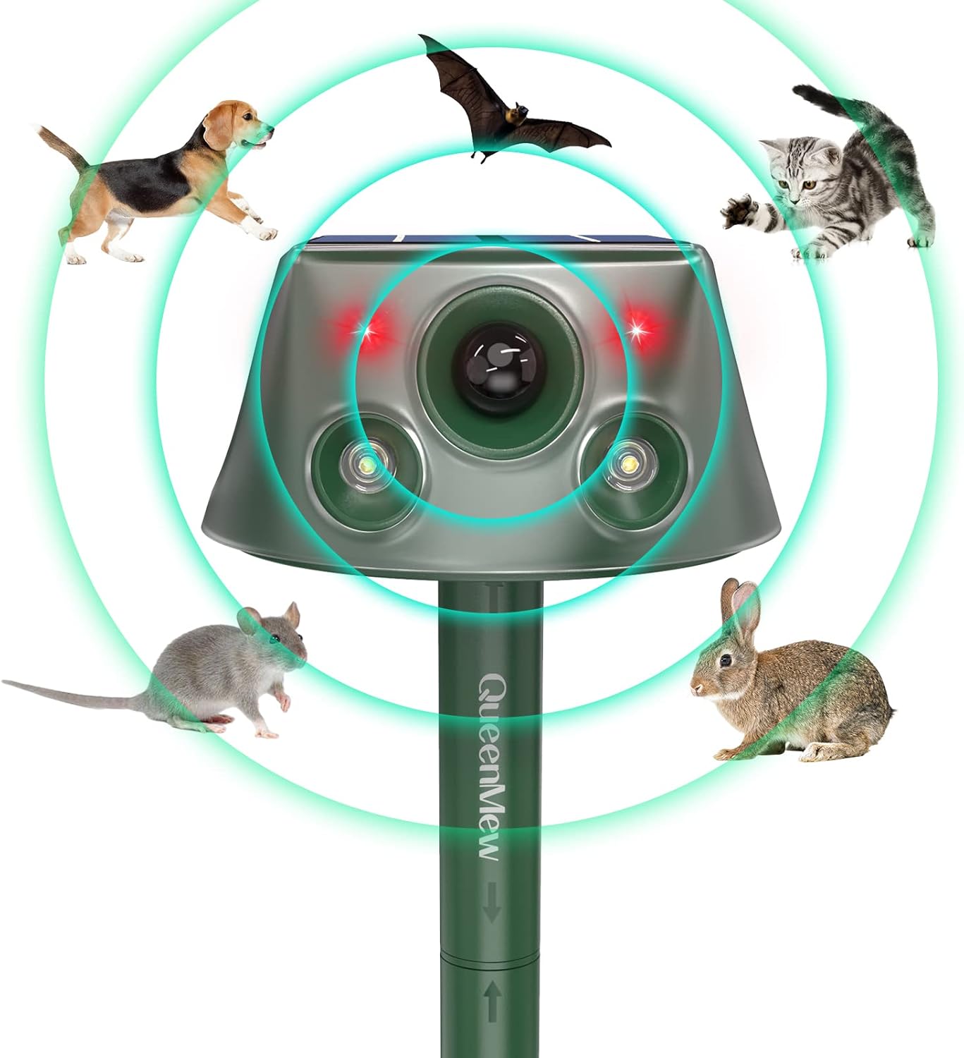 𝐀𝐧𝐢𝐦𝐚𝐥 𝐃𝐞𝐭𝐞𝐫𝐫𝐞𝐧𝐭 Solar Powered, 𝐀𝐧𝐢𝐦𝐚𝐥 𝐃𝐞𝐭𝐞𝐫𝐫𝐞𝐧𝐭 Devices Outdoor 𝐀𝐧𝐢𝐦𝐚𝐥 ...