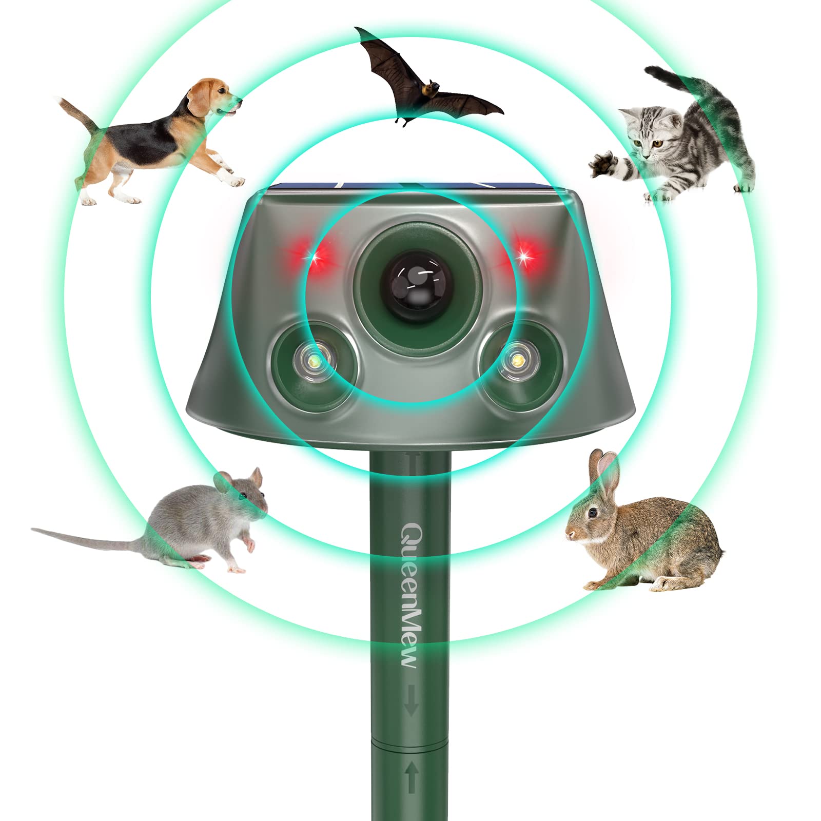 Animal Deterrent Solar Powered, Waterproof Outdoor Animal Deterrent ...