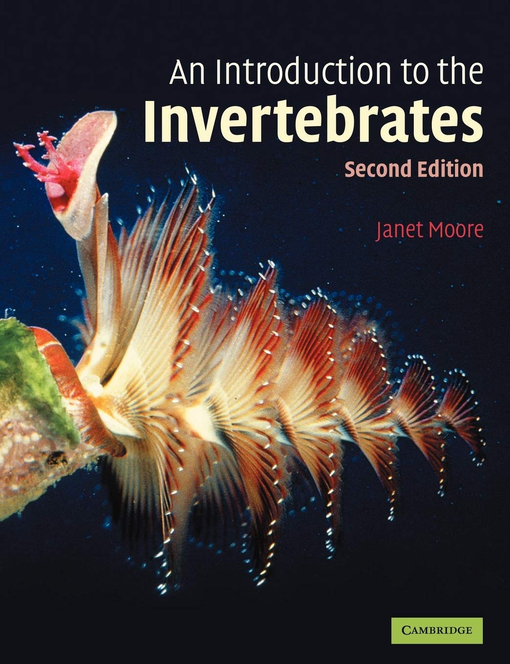 Amazon.com: An Introduction to the Invertebrates: 9780521674065: Moore ...