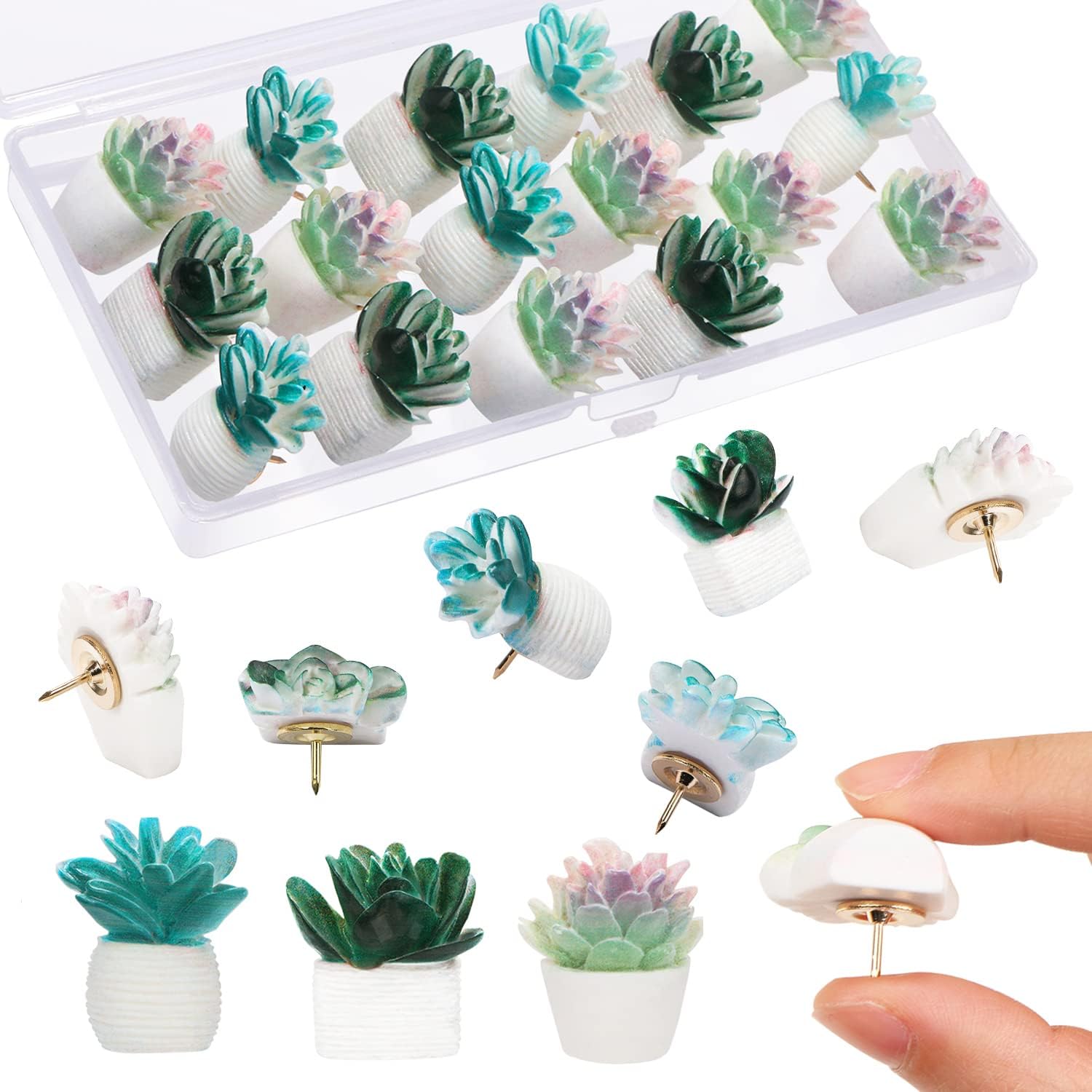 Amazon.com: BENOSPACE 20pcs Succulent Push Pins Decorative Thumb Tacks ...