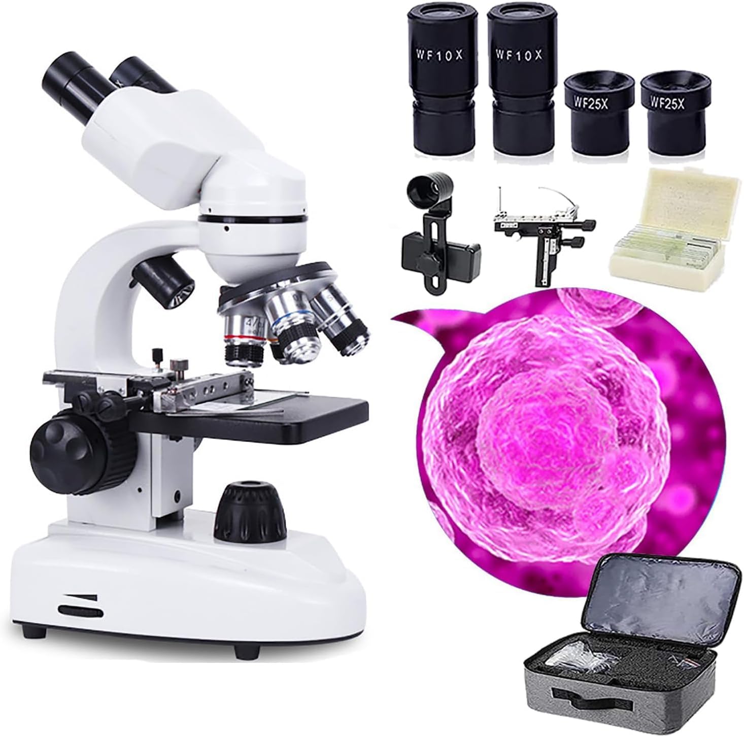 Amazon.co.jp: Binocular Composite Microscope (6000x/10000/15000x), Dual ...