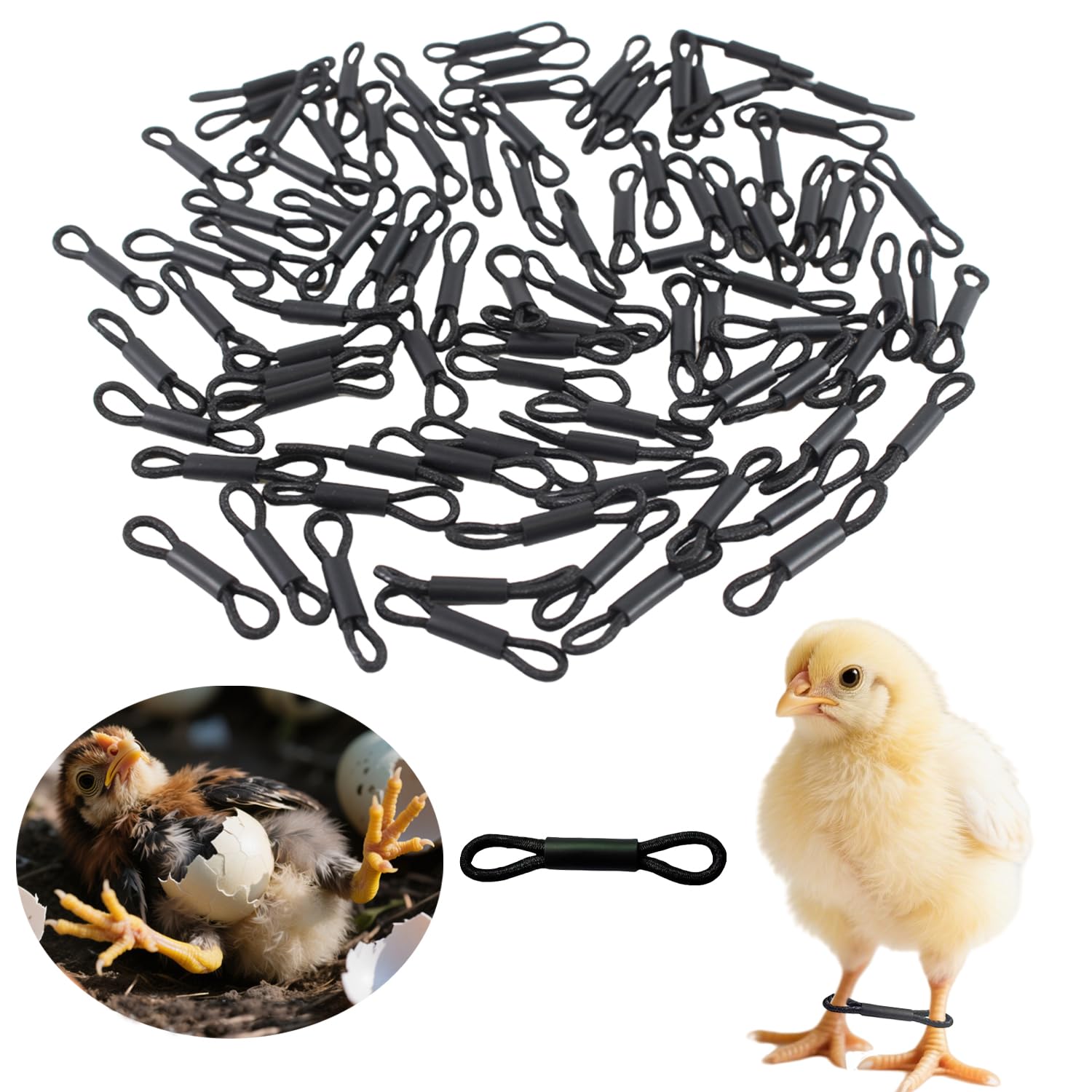 Snapklik.com : Chick Splay Leg Brace, 100 Pack Adjustable Poultry ...