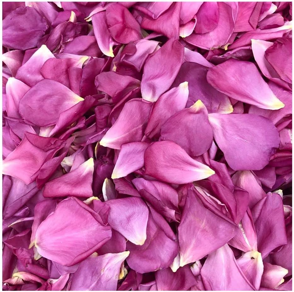 Amazon.com: Premium Quality All American Beauty Real Rose Petals 30 ...