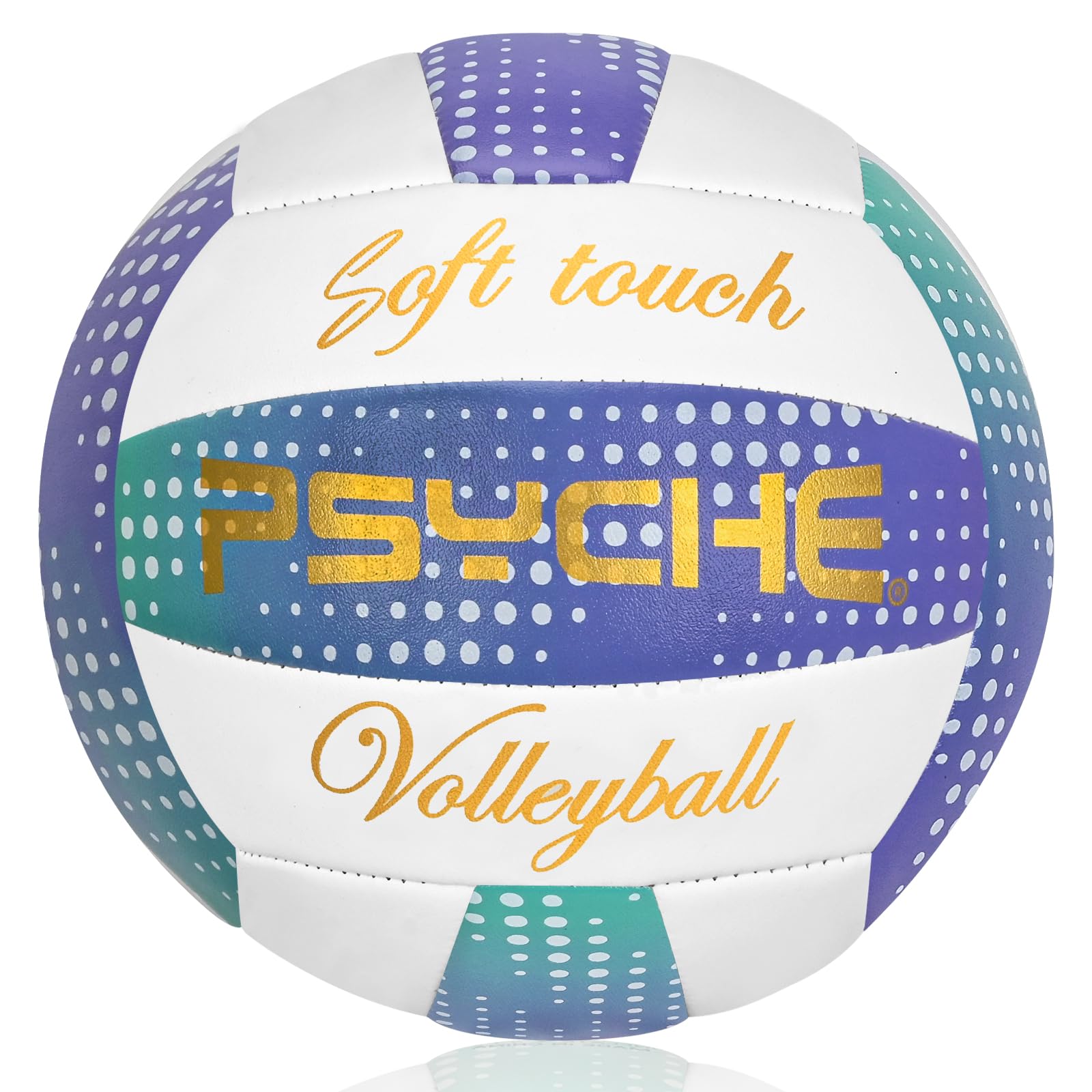 Volleyballs Official Size 5,Soft Indoor Outdoor Volleyball Ball for ...