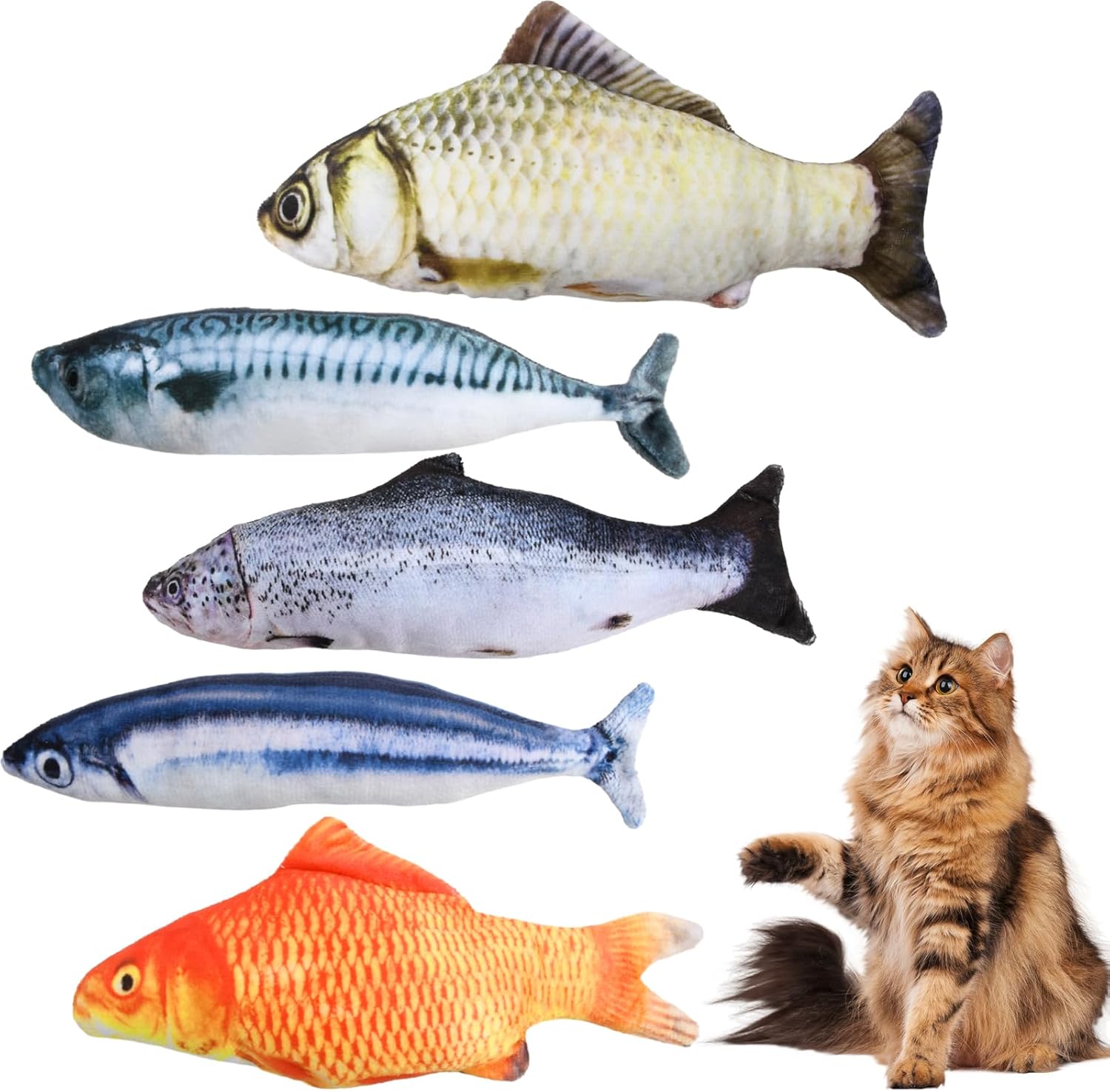 Lot de 5 jouets pour chat en forme de poisson avec herbe à chat, jouet ...