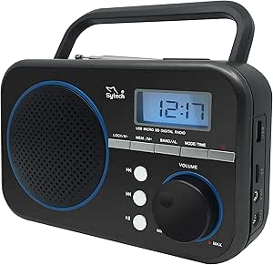 Radio Portable avec Tuner PLL 2 Bandes AM/FM : Amazon.fr: High-Tech