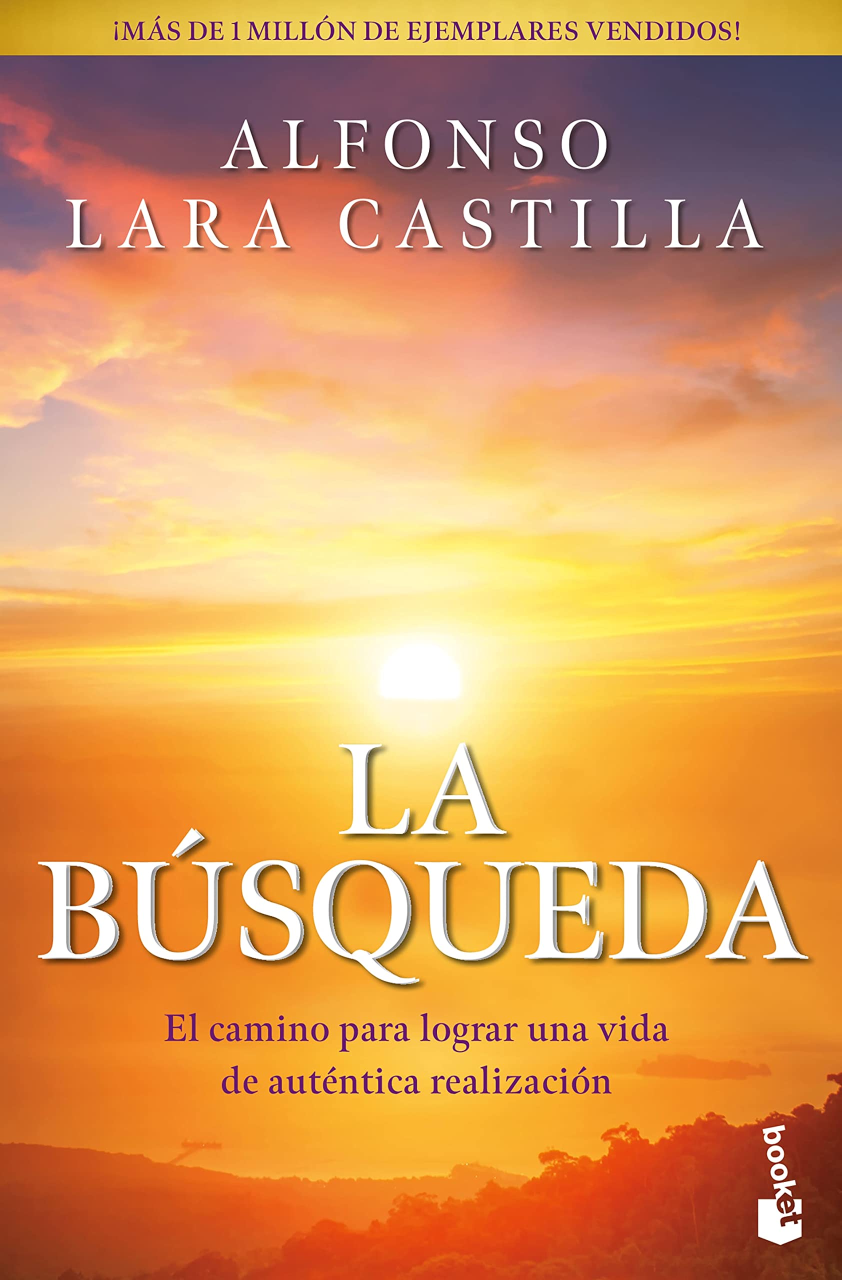Amazon.com: La búsqueda (Spanish Edition): 9786070791420: Lara, Alfonso: Libros