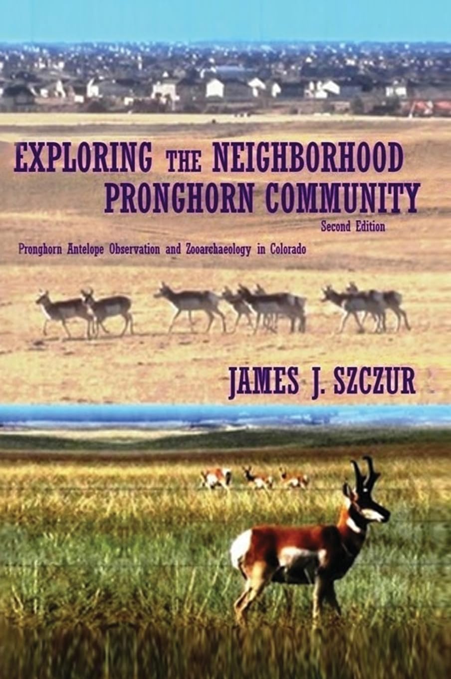 Exploring the Neighborhood Pronghorn Community: Pronghorn Antelope ...