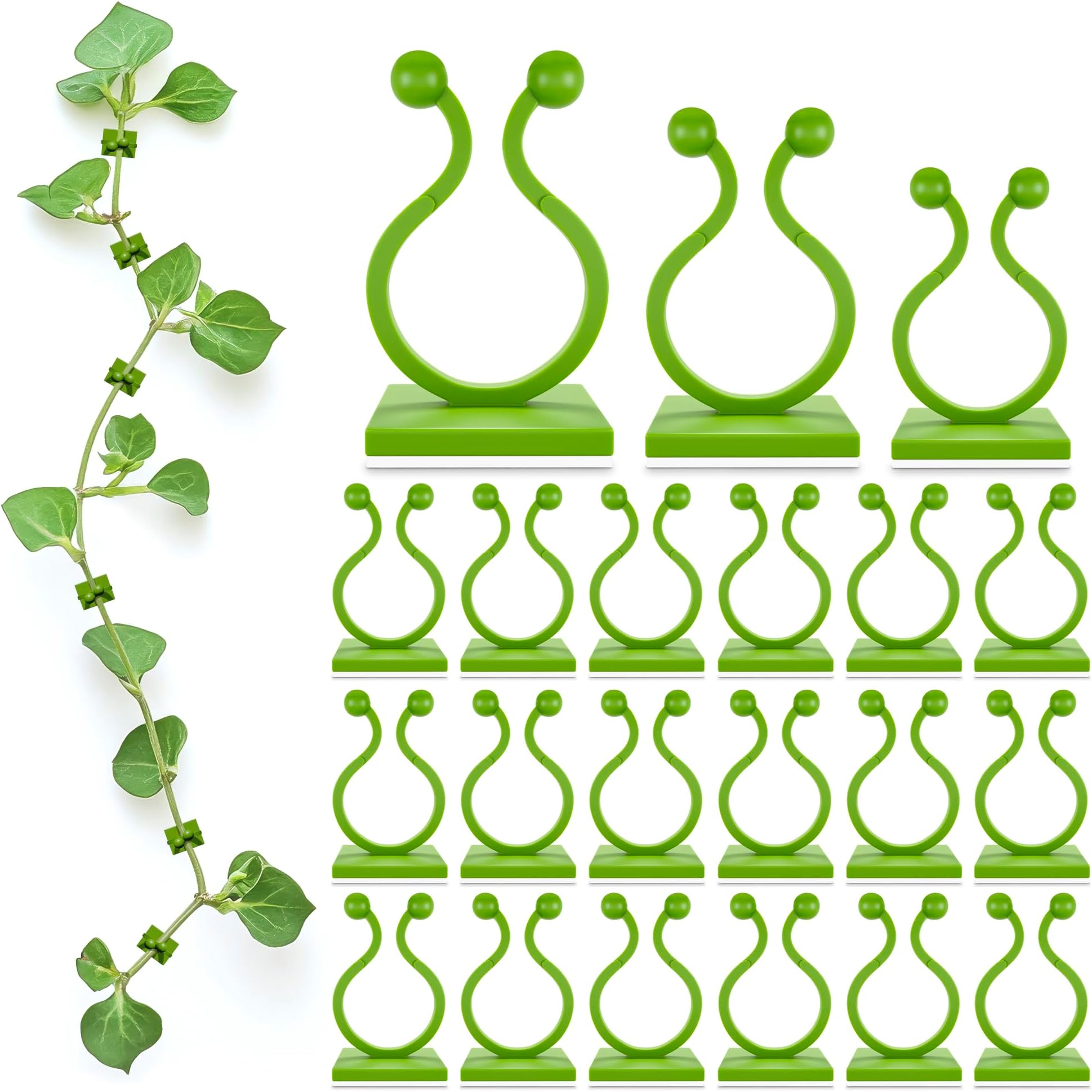 Amazon.com : Plant Wall Clips for Climbing Plants 110 Pcs - Money Plant ...