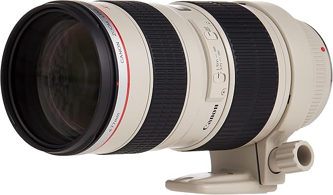 Amazon.com : Canon EF 70-200mm f/2.8L USM Telephoto Zoom Lens for SLR ...