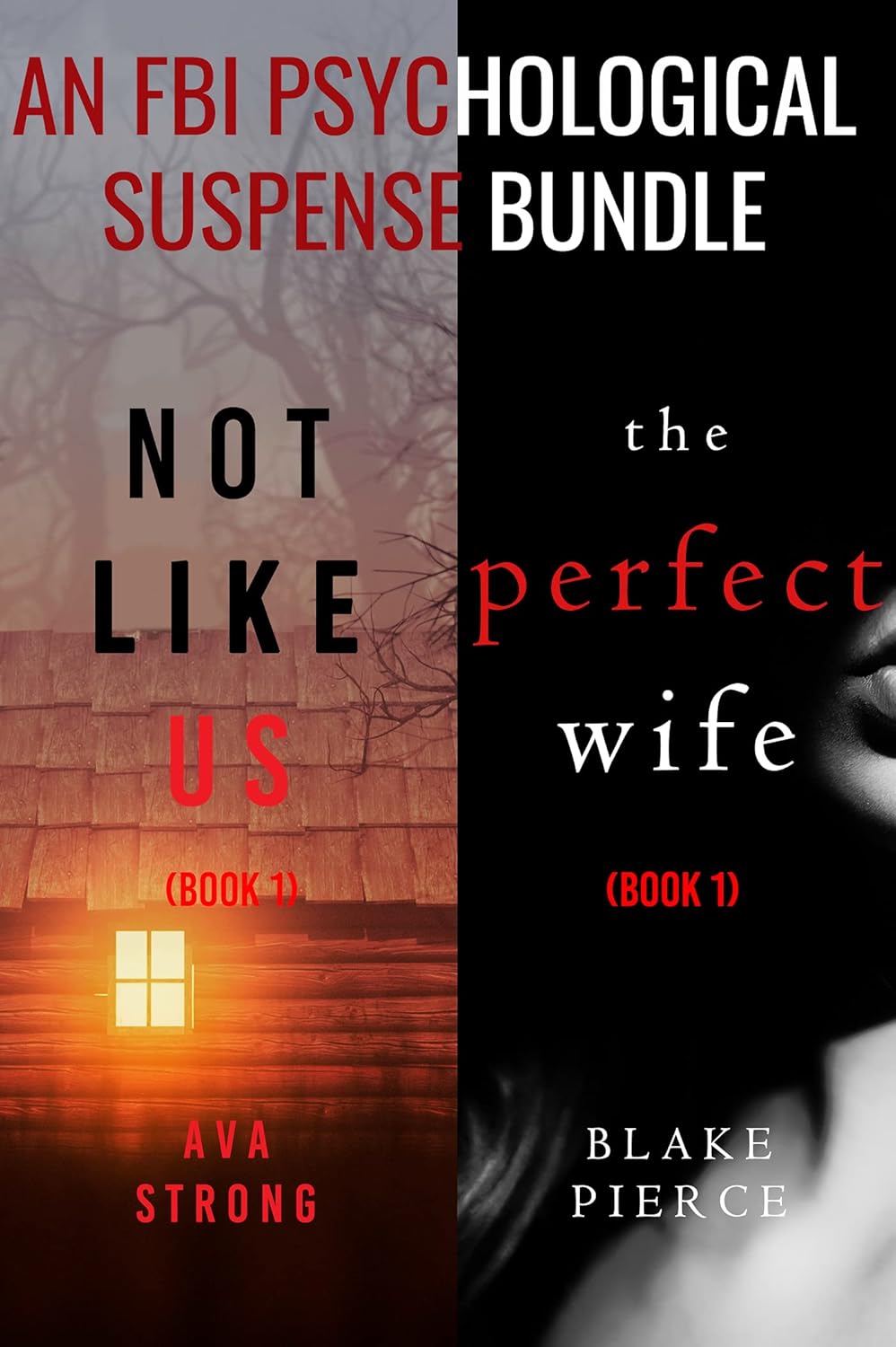 Amazon.com: An FBI Psychological Suspense Bundle (Not Like Us and The ...