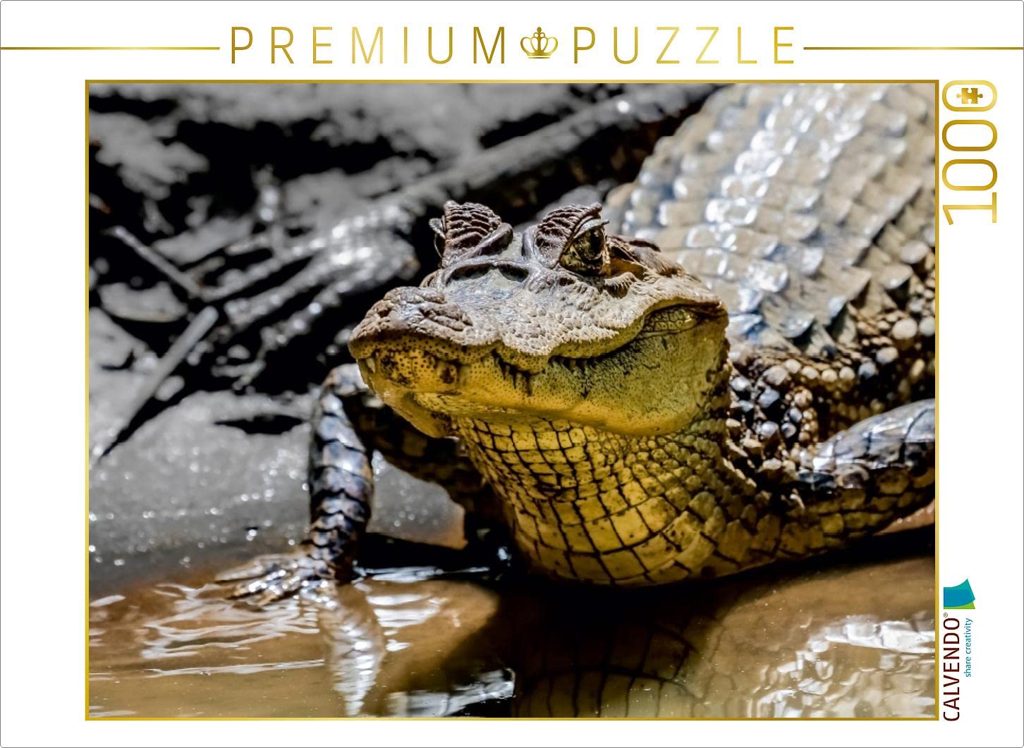 Spectacled Caiman Range