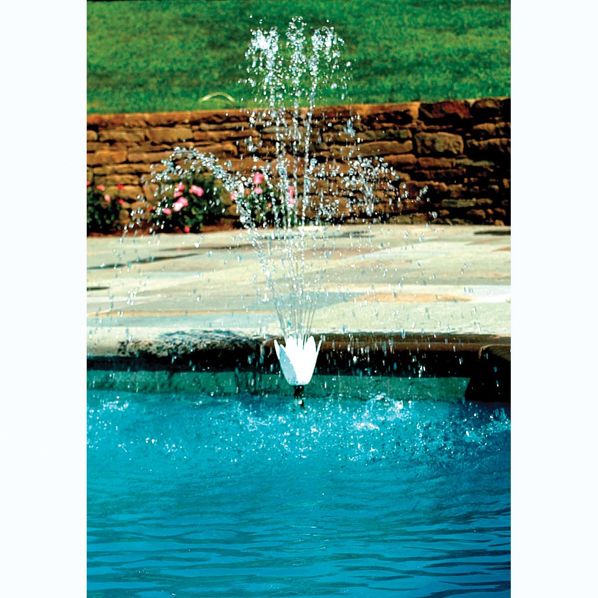 Amazon.com : Swimline Wall Flower Pool Fountain Set : Patio, Lawn & Garden
