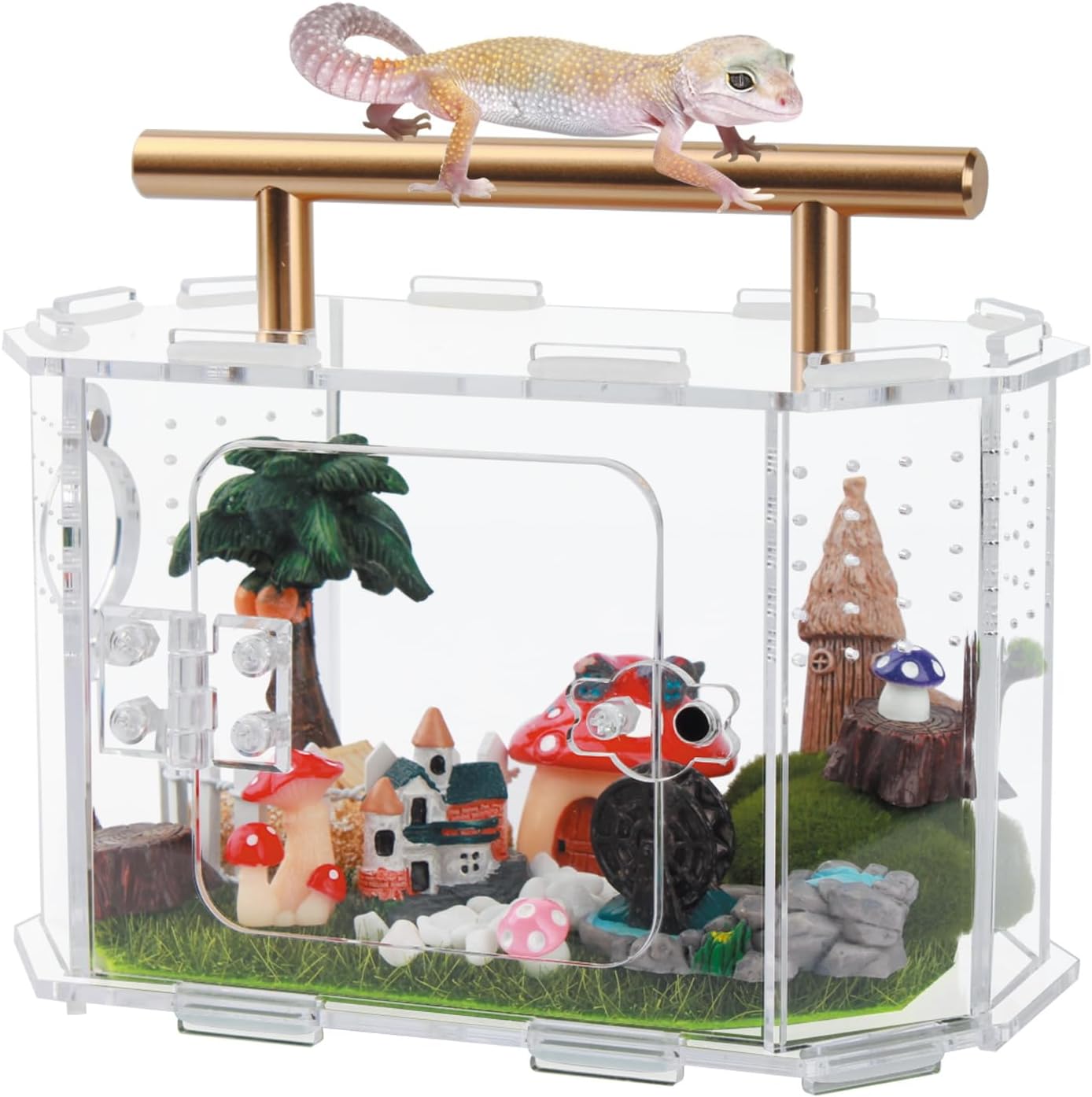 Amazon.com : Jumping Spider Enclosure,Premium Acrylic Spider Enclosure ...