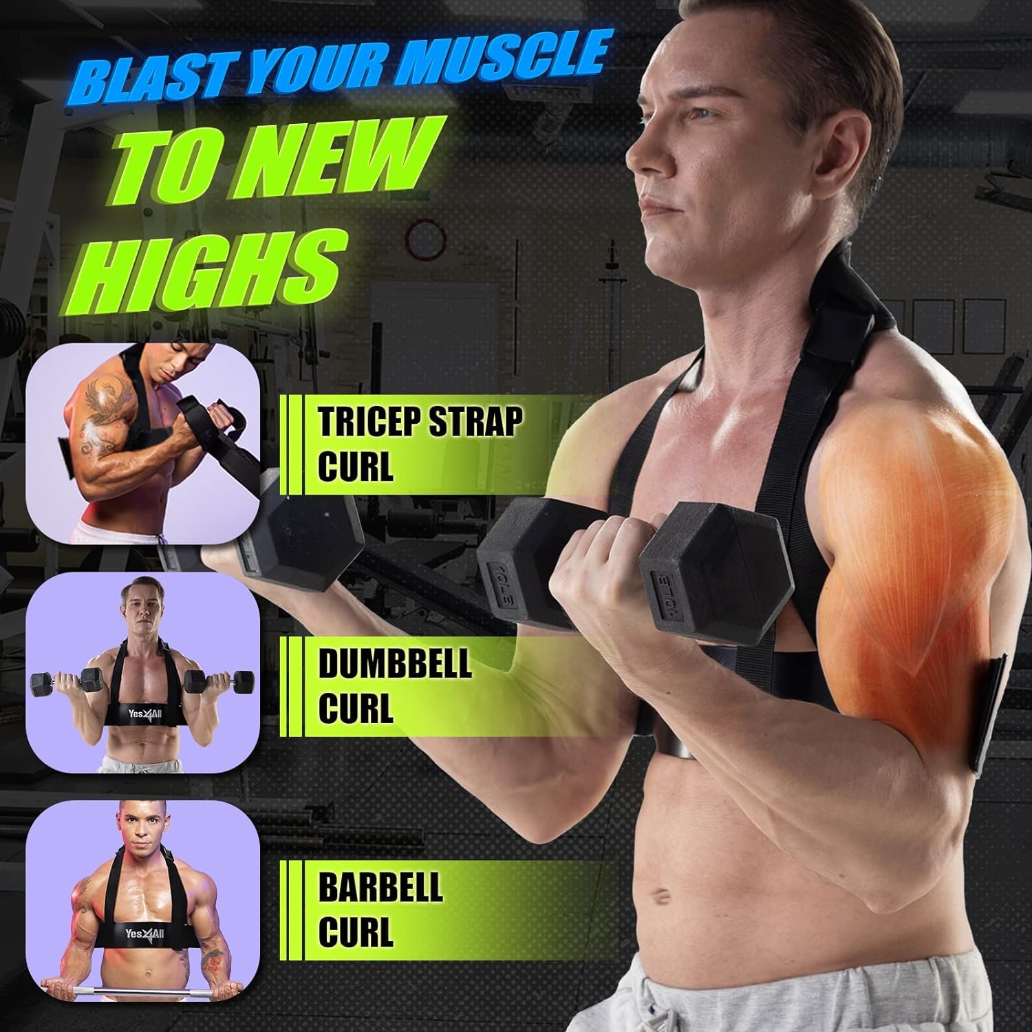 Just Lift Bicep Blaster Arm Blaster POZTEV For Bicep Curls - Bicep ...