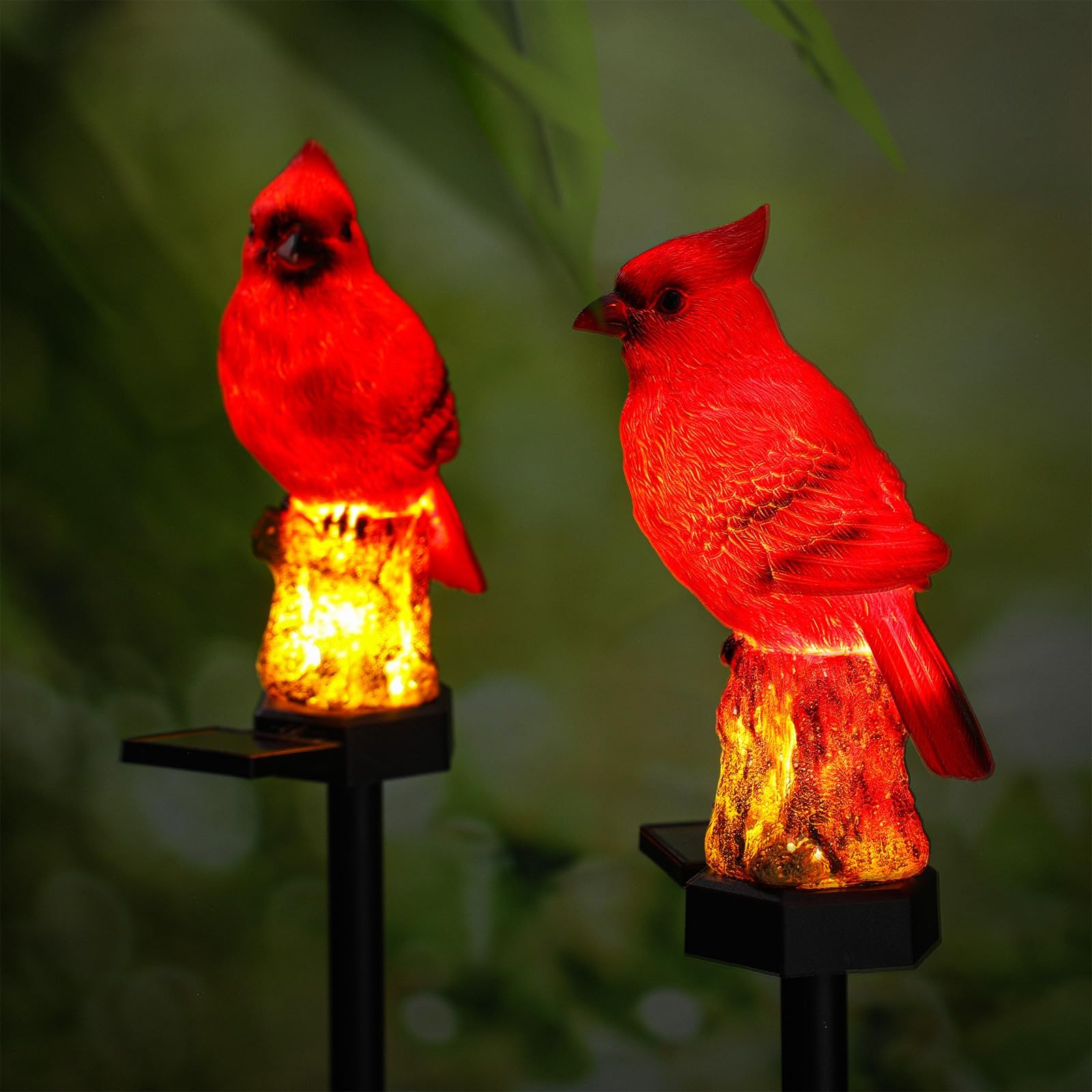 Amazon.com : Baquler 2 Pack Cardinal Solar Lights Cardinal Outdoor ...