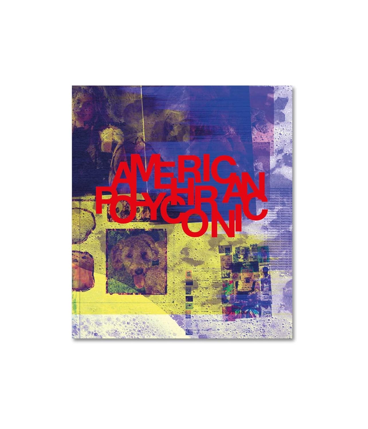 AMERICAN POLYCHRONIC: Roe Ethridge: 9781913620653: Amazon.com: Books