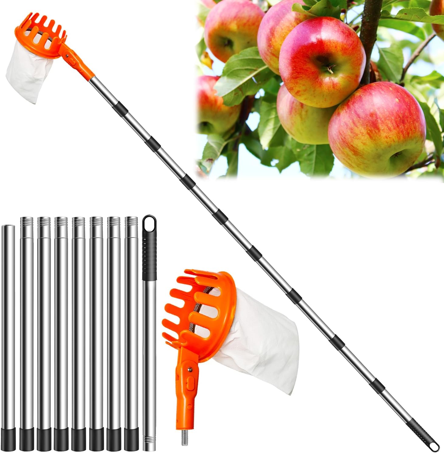 Amazon.com : Fruit Picker Pole with Basket Telescoping 13.7Ft Apple ...