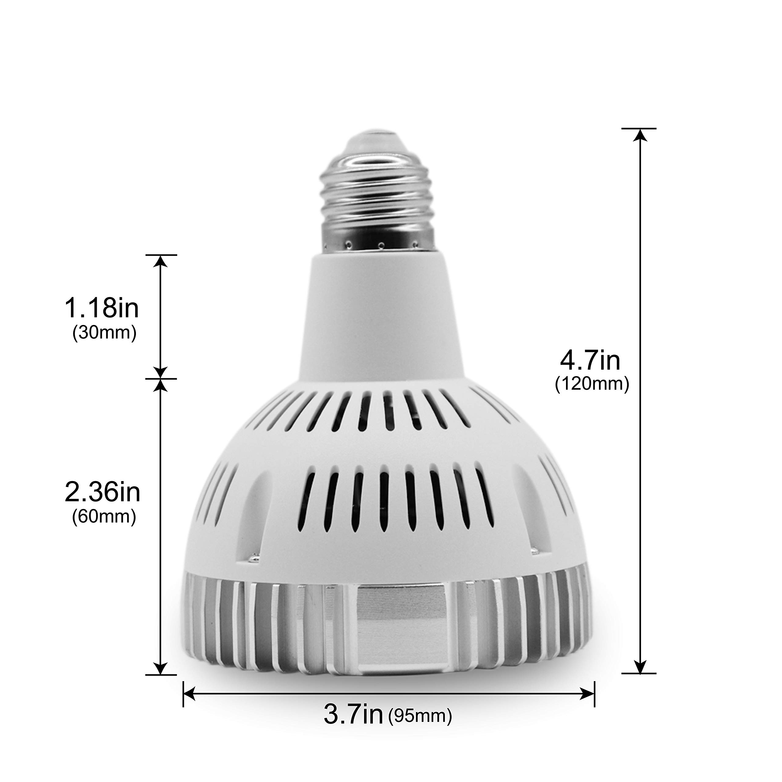 Par30 bulb dimensions new arrivals