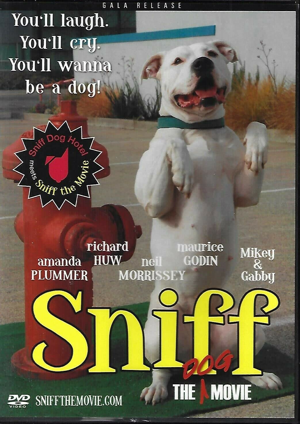 Amazon.com: Sniff - The Dog Movie [DVD] : Movies & TV