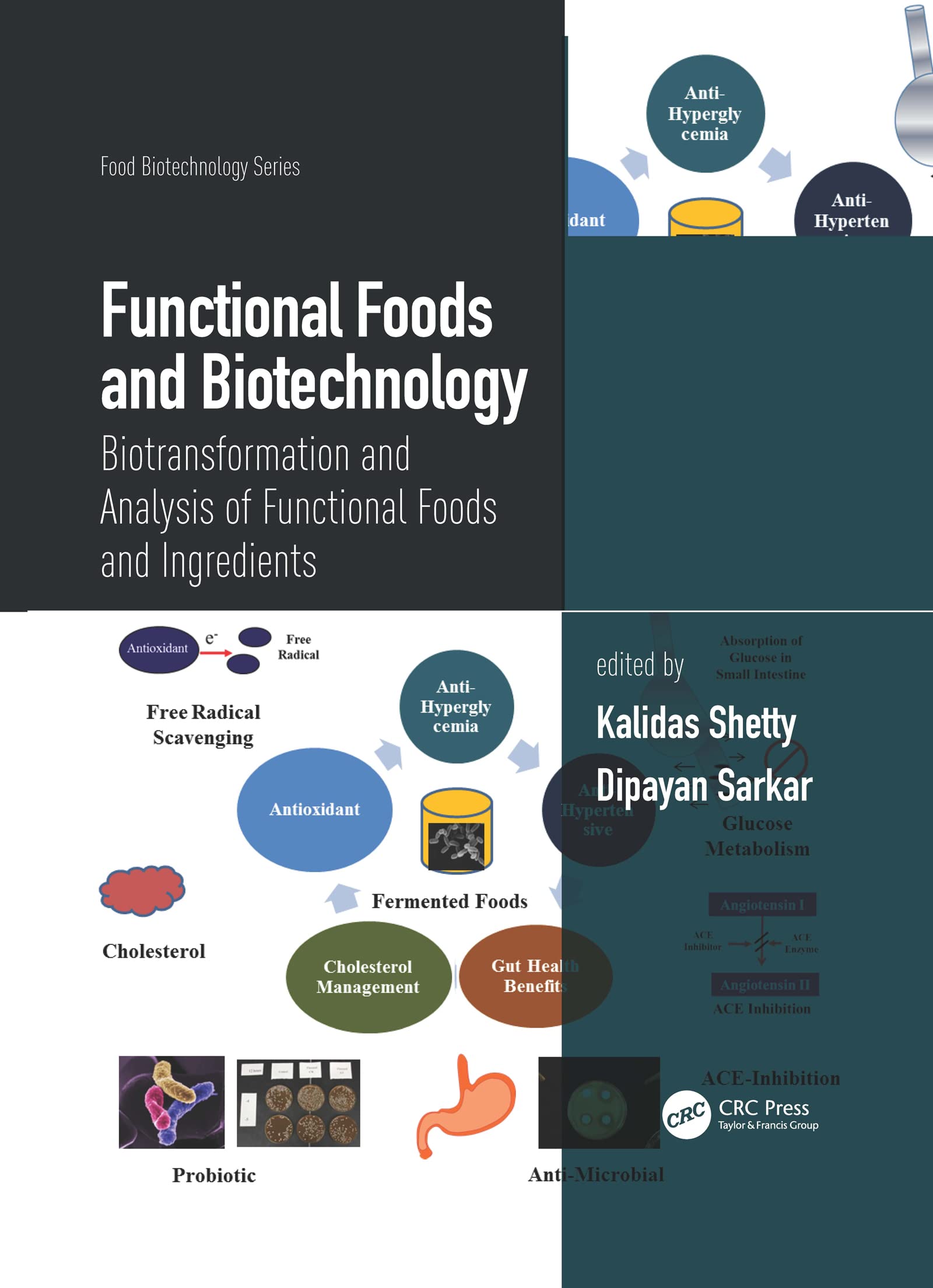Functional Foods and Biotechnology: Biotransformation and Analysis of ...