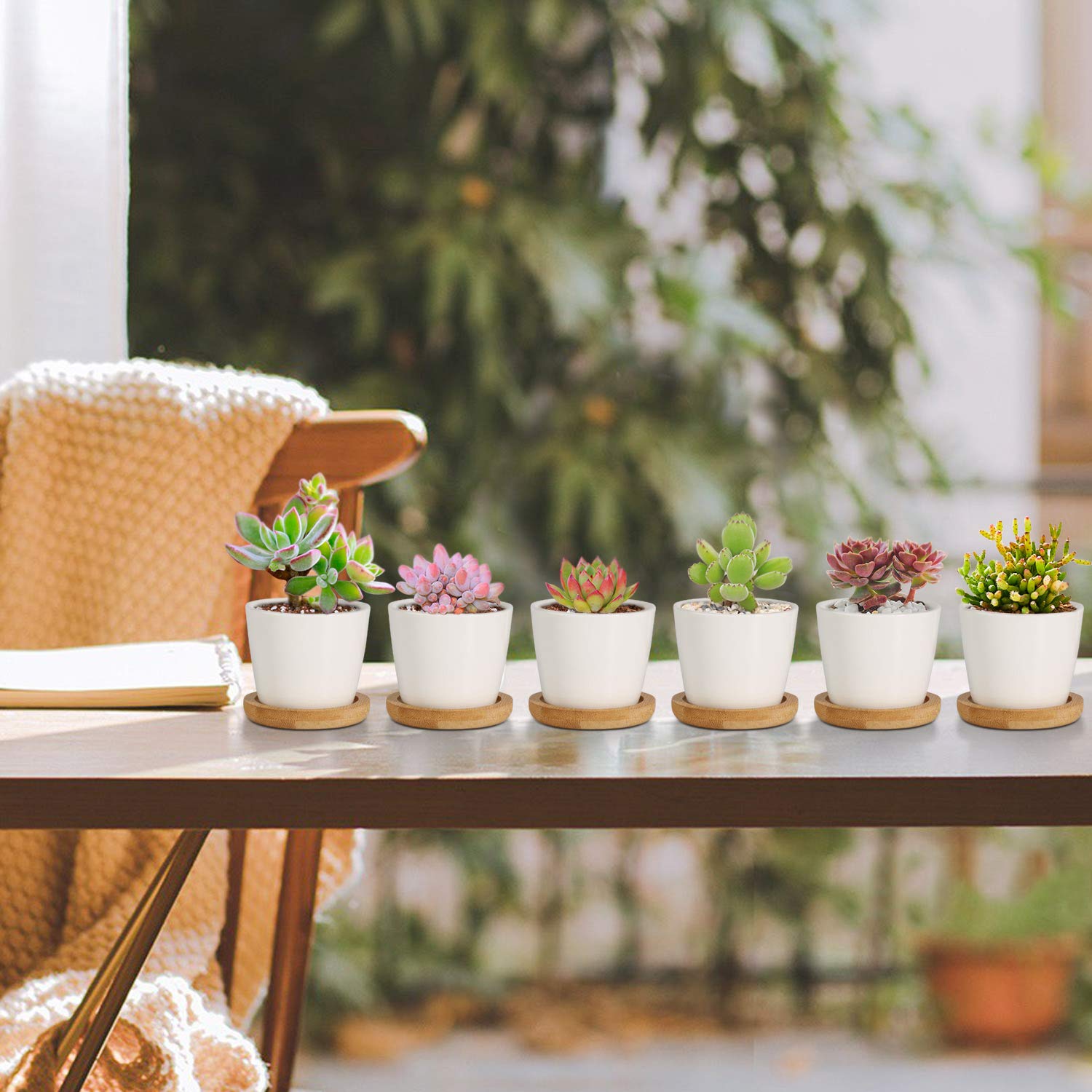 Small Plant Pots With Drainage Small Succulent Pots With Drainage ...