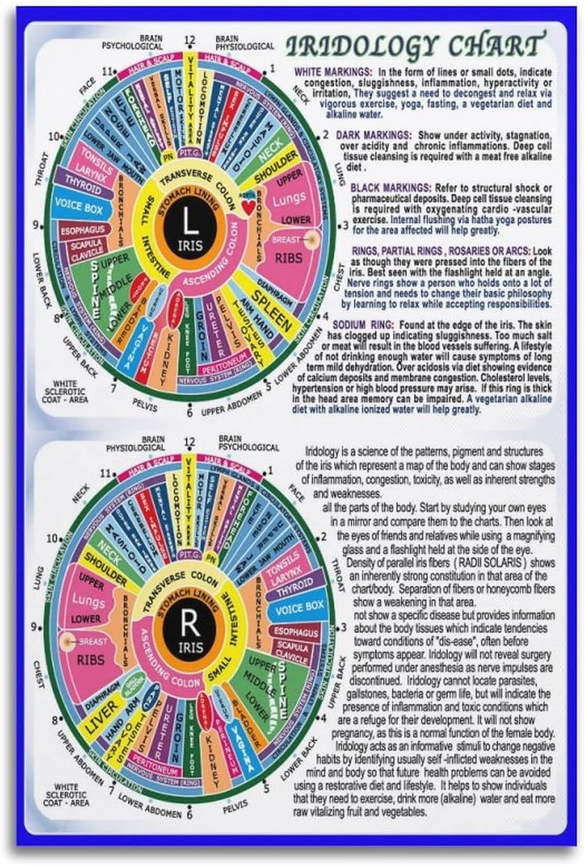 Amazon.com: Iridology Diagnosis Chart And Learning Guide Poster Home ...