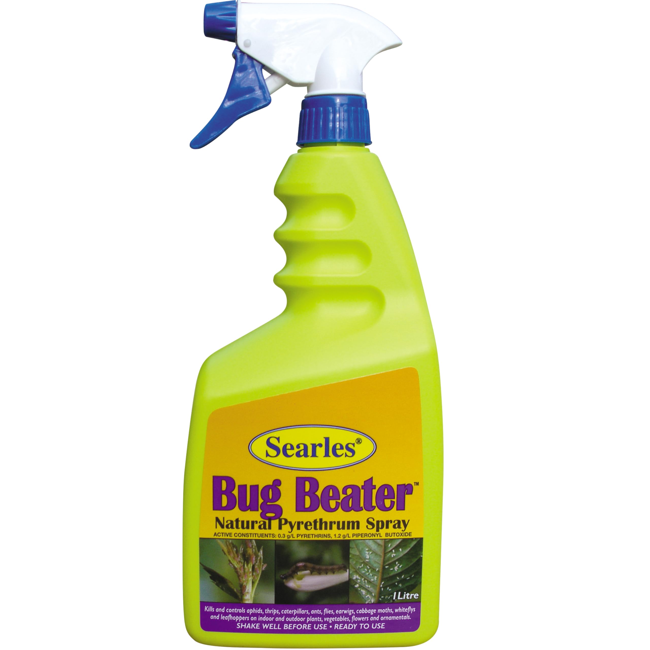Searles Bug Beater Ready to Use Insecticide Spray, 1 Litre : Amazon.com ...