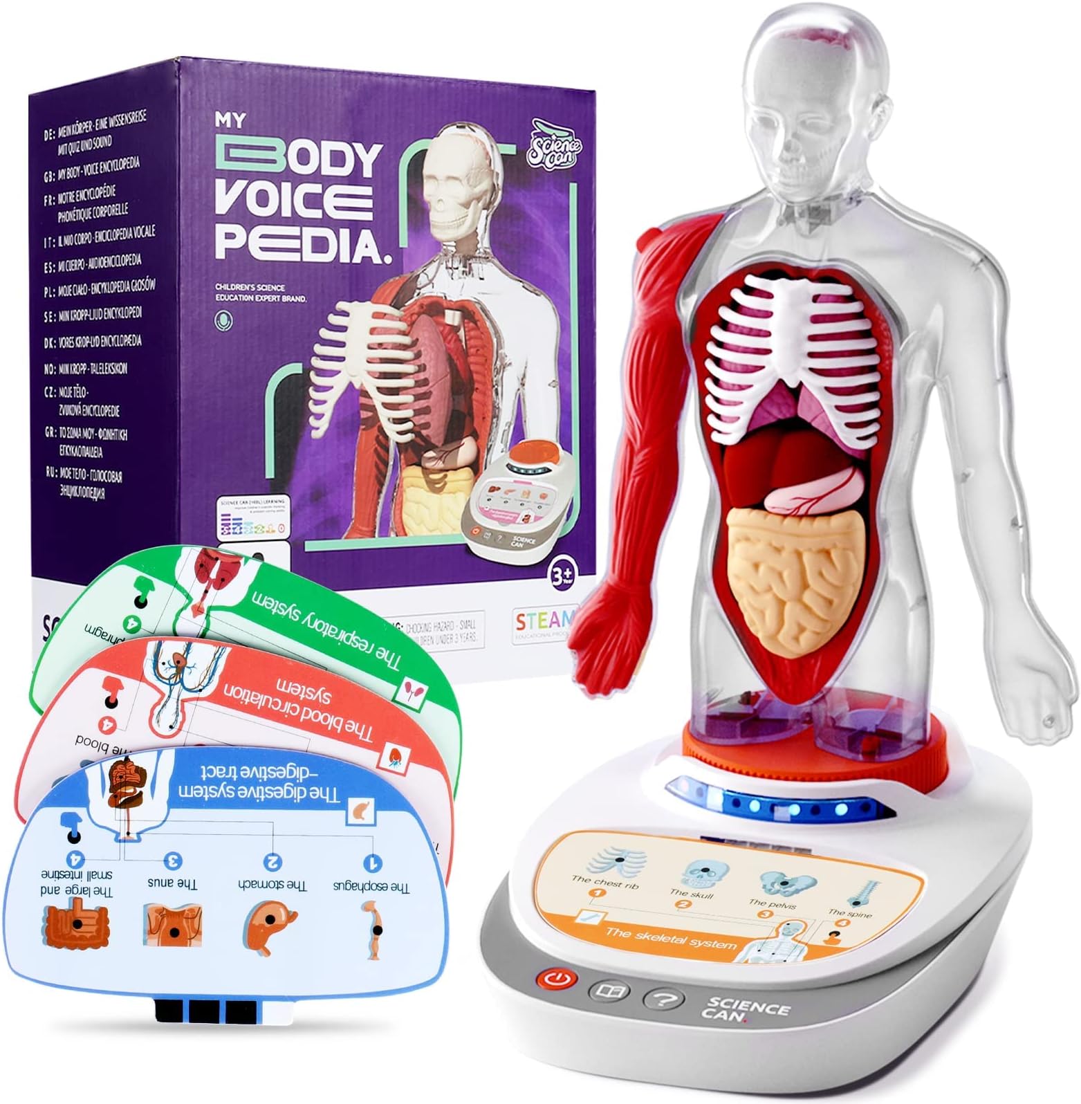 Amazon.com: SmartLab QPG Lab for Kids, Squishy Human Body, Grade 3-8 ...