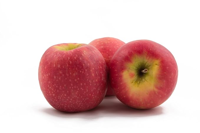 Amazon.com: Wild Twist Apple : Grocery & Gourmet Food