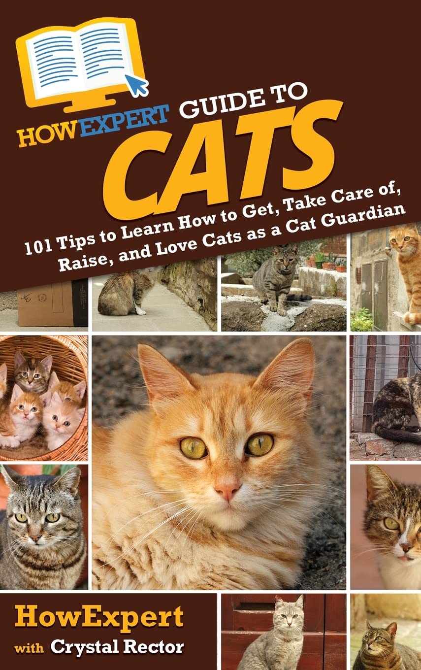 HowExpert Guide to Cats: 101 Tips to Learn How to Get, Take Care of ...