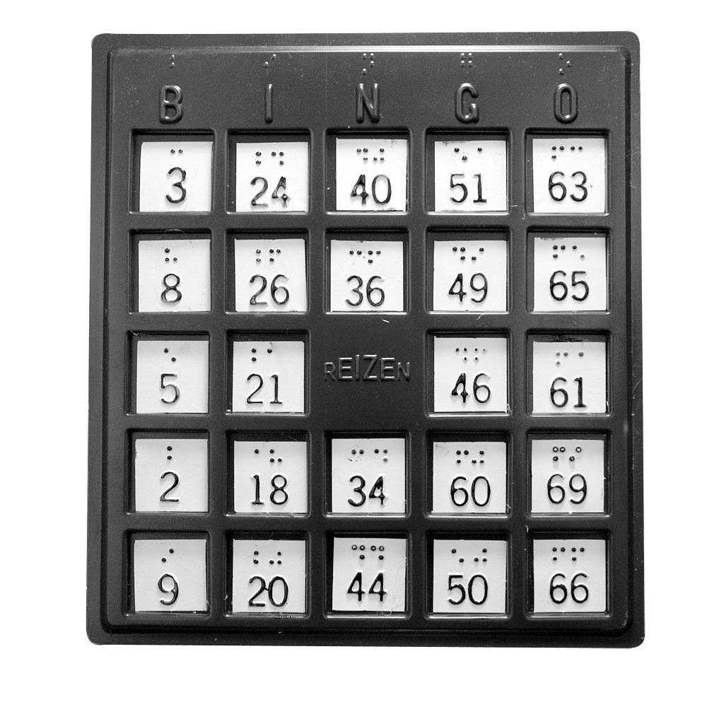 Amazon.com: Braille Plastic Bingo Board - 1 Single Board : Toys & Games
