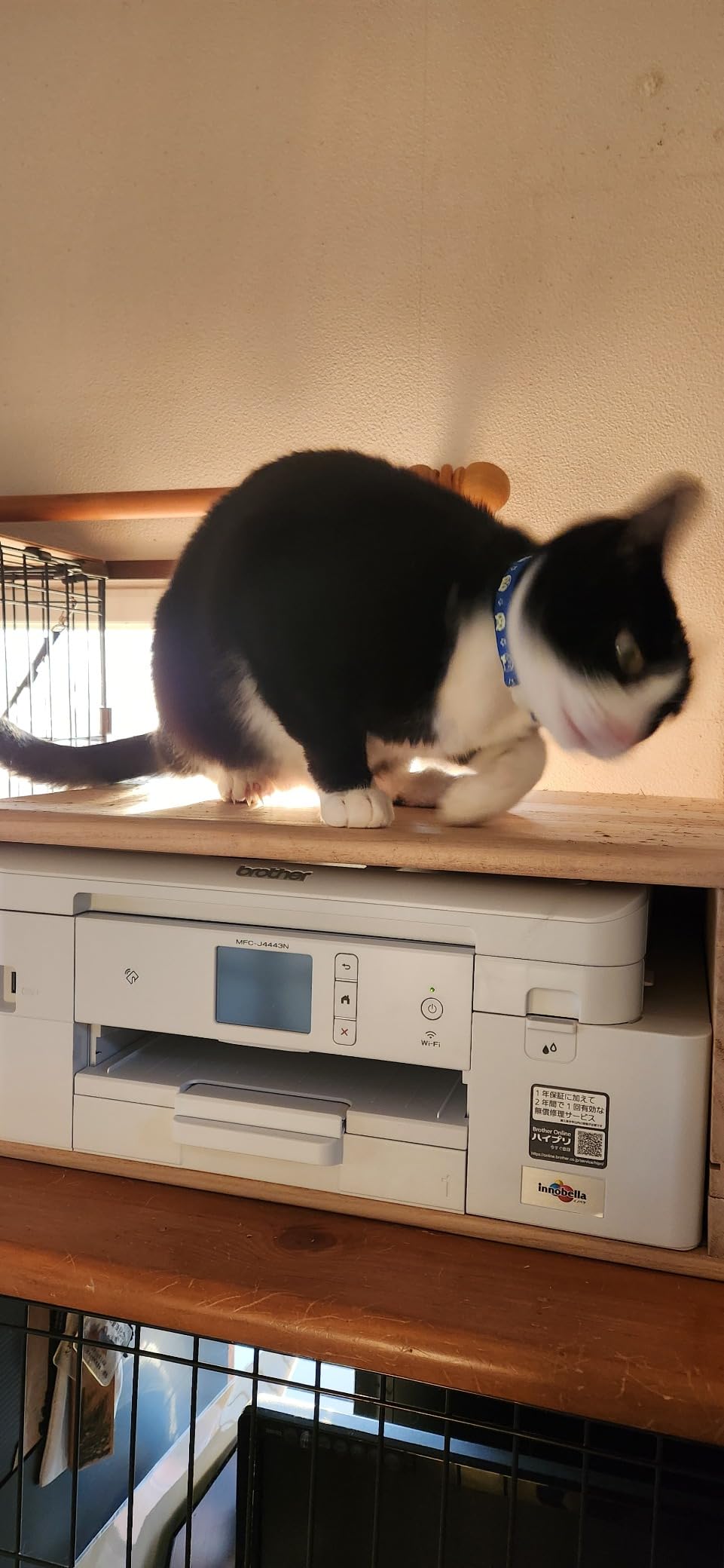 Amazon.co.jp: ブラザー プリンター 大容量ファーストタンク A4インクジェット複合機 DCP-J4143N (Wi-Fi/自動両面印刷/ADF/在宅学習・在宅ワーク向け ...