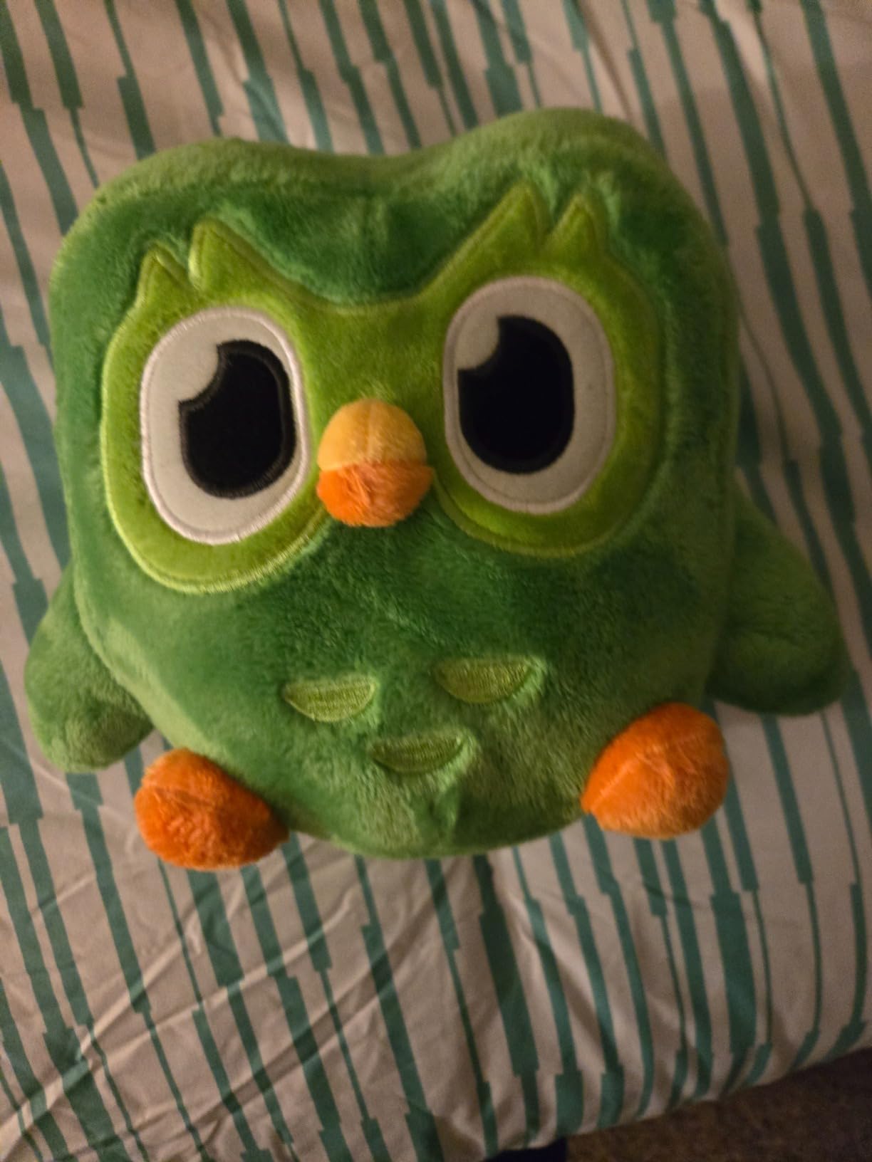 Amazon.com: Duolingo Duo Plush - Officially Licensed - Reminder to Do ...